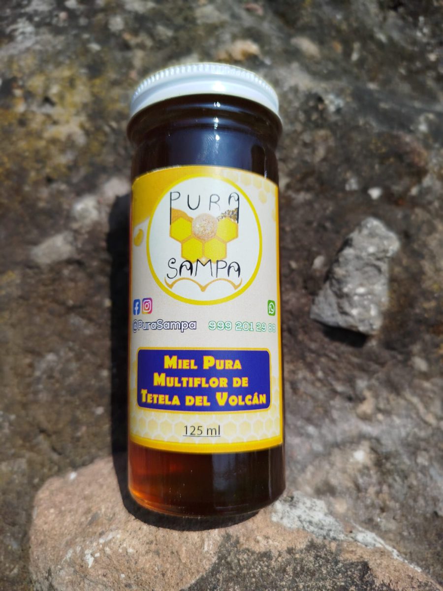 Miel multiflor Pura Sampa 125ml - Pura Sampa