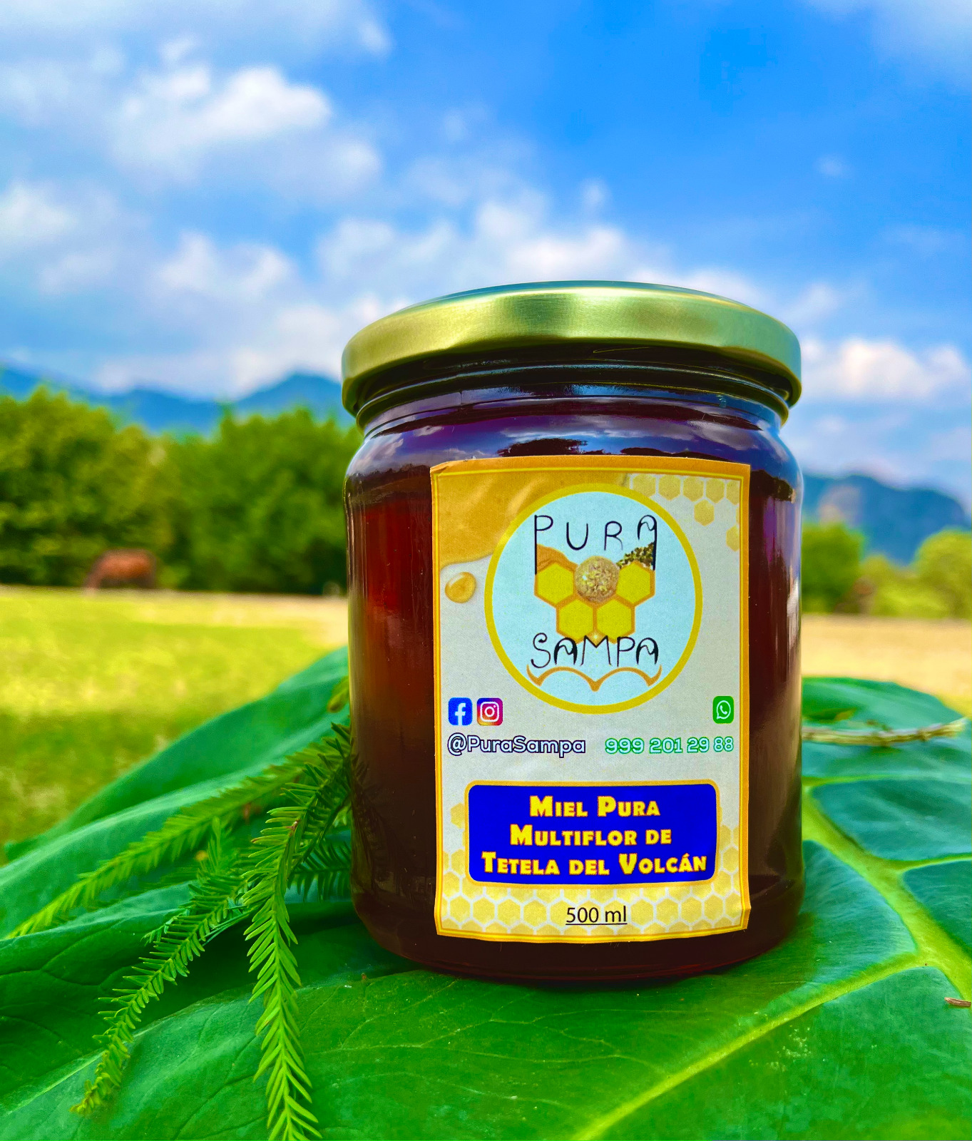 Miel multiflor Pura Sampa 500ml - Pura Sampa